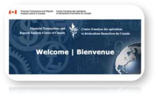 Services | Clear View Systems Ltd.